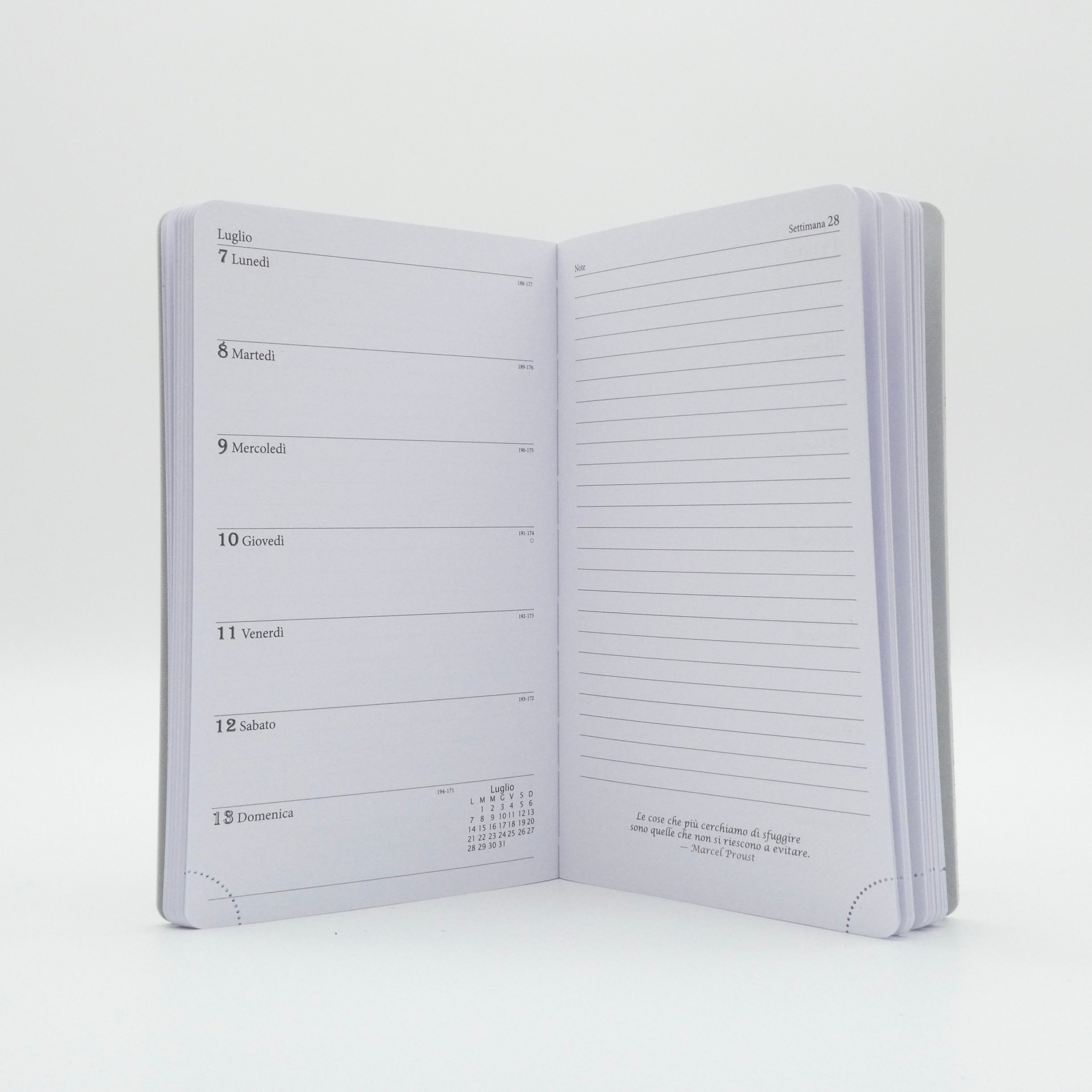 Il Calendario Filosofico di Sofia Cioni